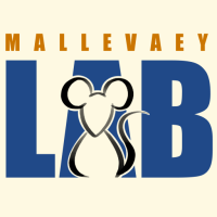 2024.09.01 MILEA JOINS THE LAB – The Mallevaey Lab